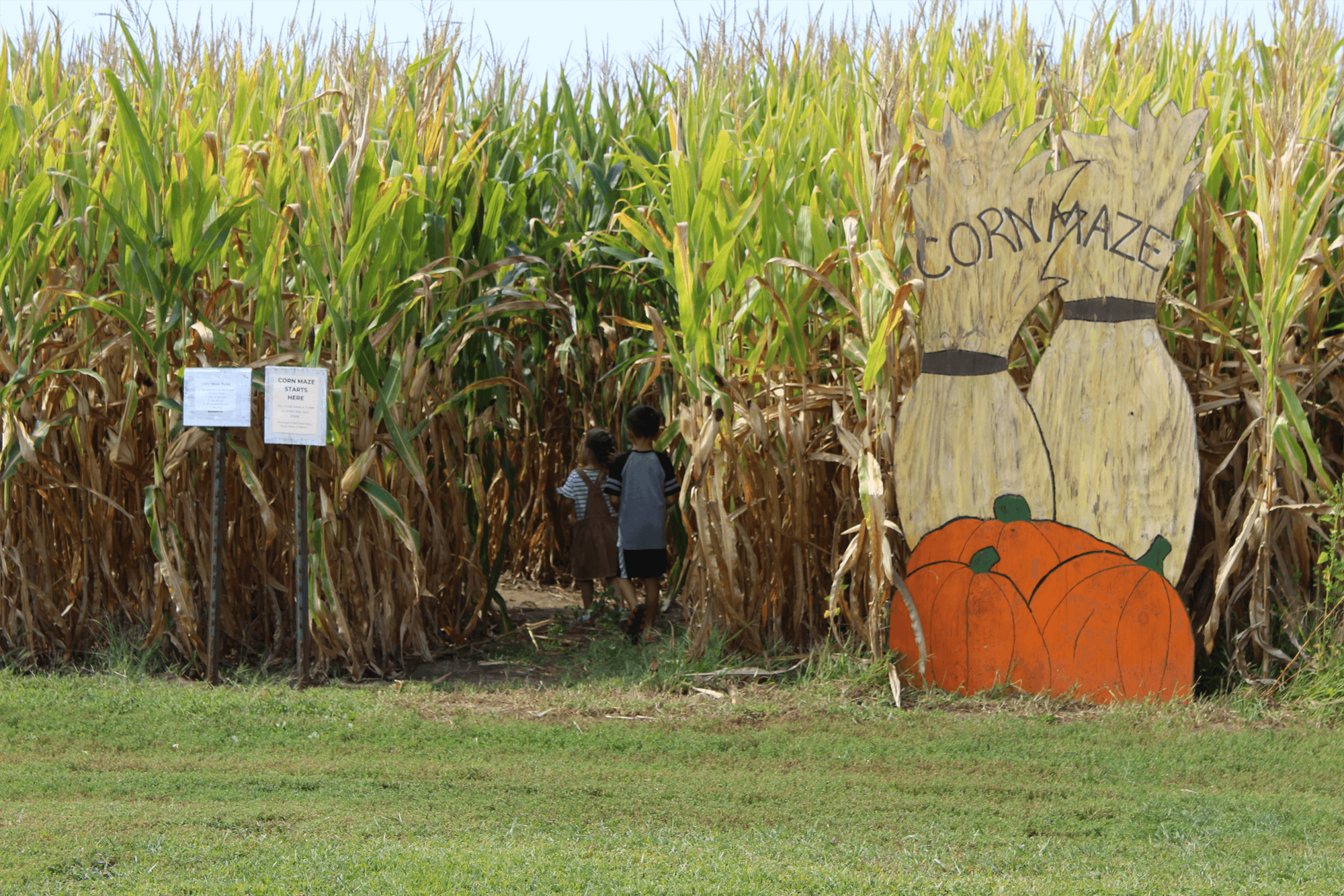 Business Spotlight: Sand Flats Orchard - Buy It In Montgomery ...